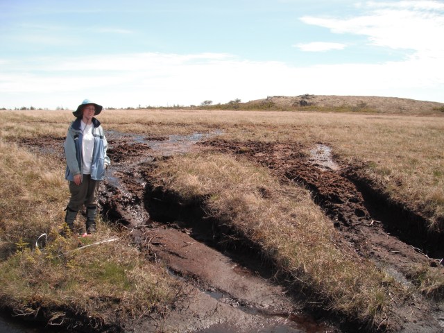 Landscape Ecology and Spatial Analysis Lab | Yolanda F. Wiersma